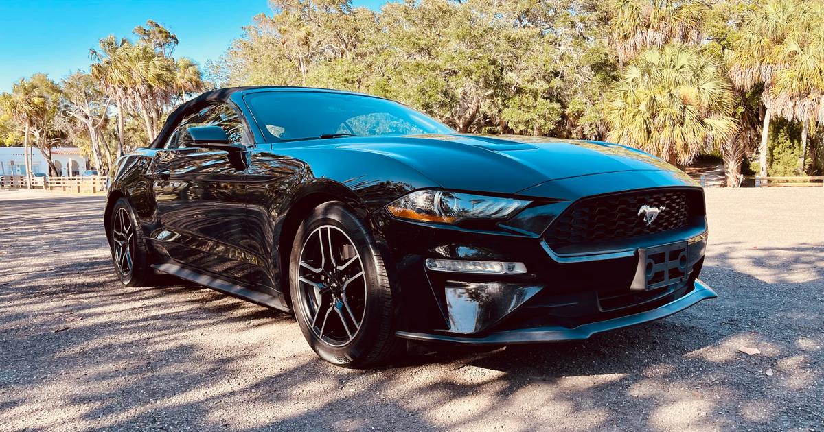 Ford Mustang 2020 rental in St. Petersburg, FL by Oasis Rentals .. | Turo
