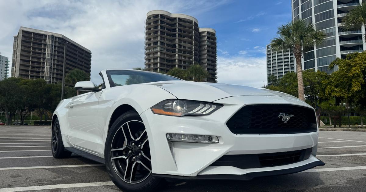 Ford Mustang 2019 rental in North Miami, FL by Michael W. | Turo