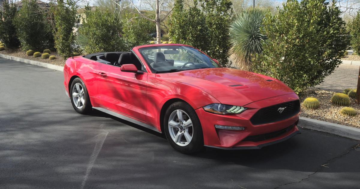 Ford Mustang 2019 rental in Las Vegas, NV by Trifecta Car Rentals . | Turo