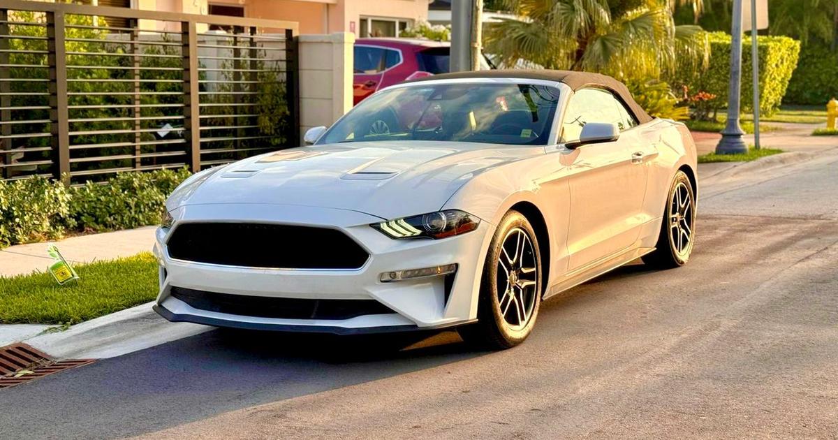 Ford Mustang 2021 rental in Miami Beach, FL by Natali S. | Turo