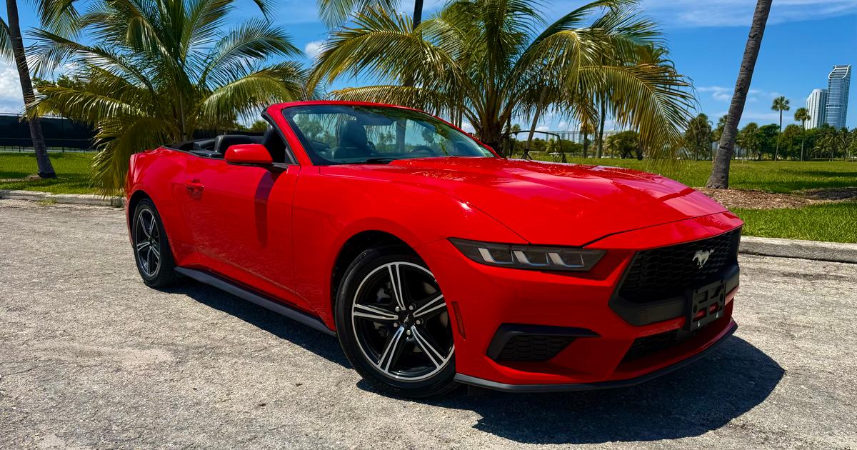 Ford Mustang 2024 rental in Miami, FL by Oleh K. | Turo