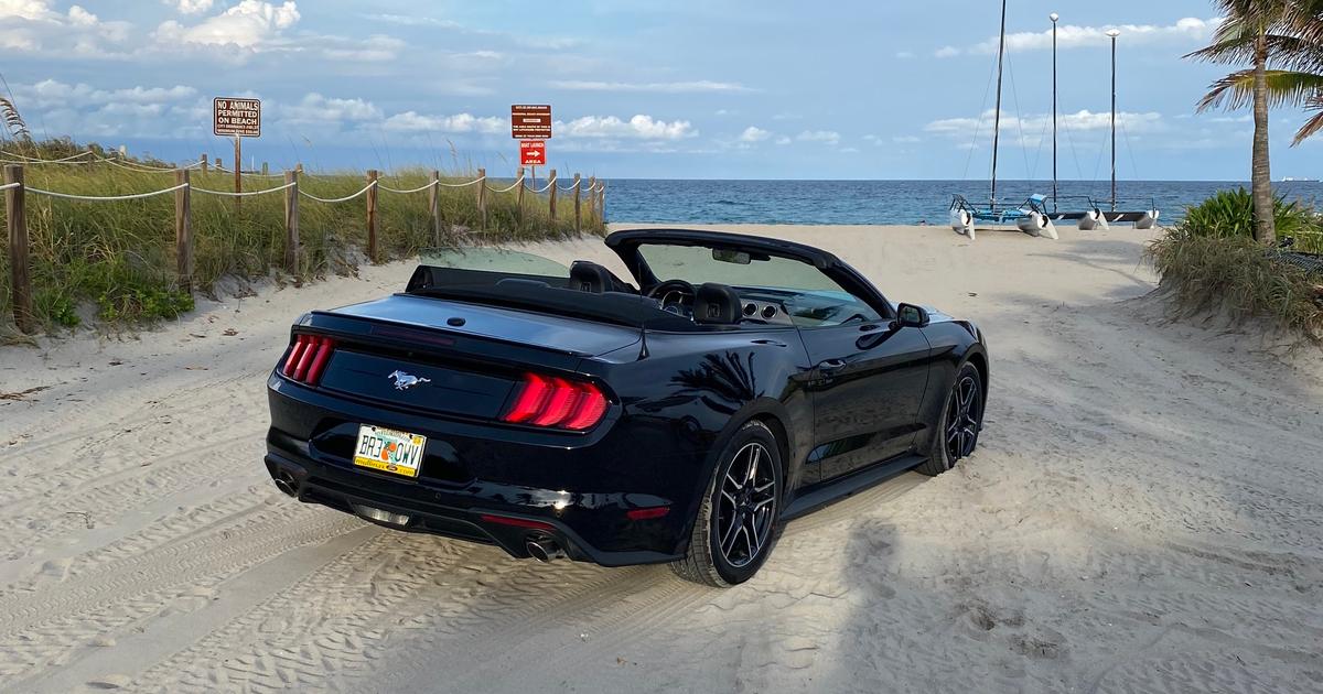 Ford Mustang 2023 rental in Boca Raton, FL by Marcus | Turo