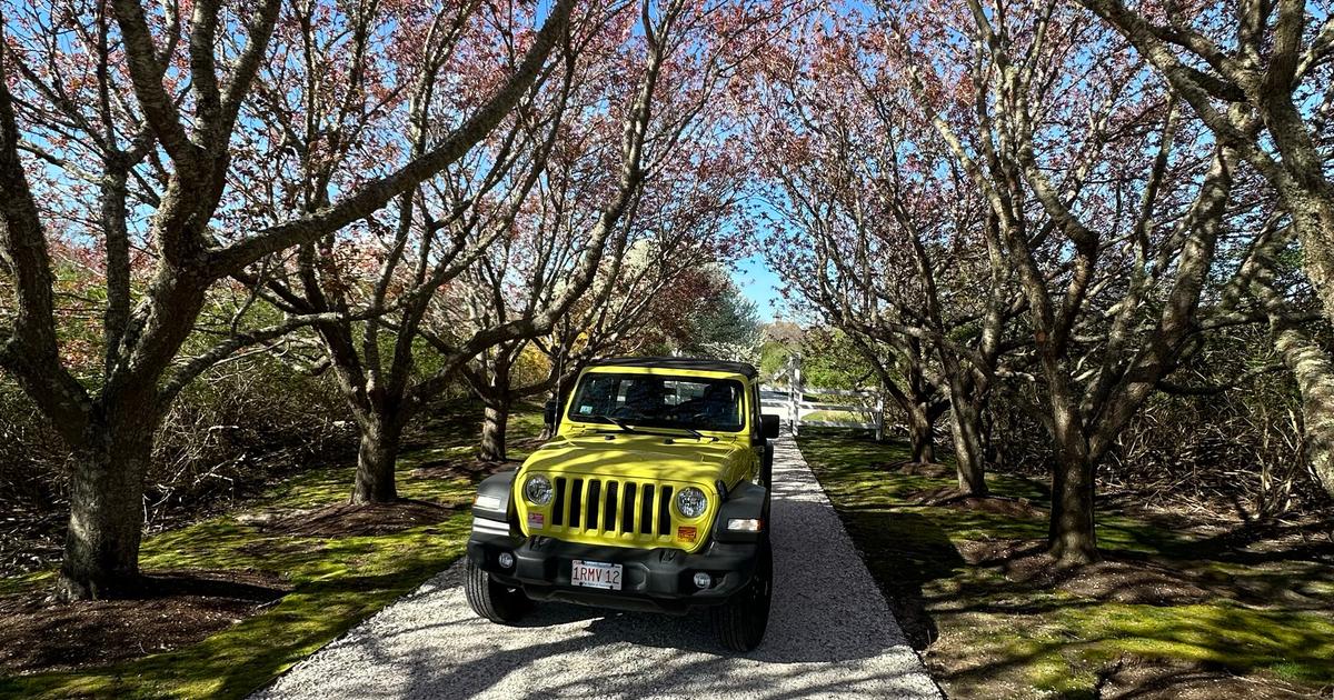 Jeep Wrangler 2023 rental in Nantucket, MA by Marian | Turo