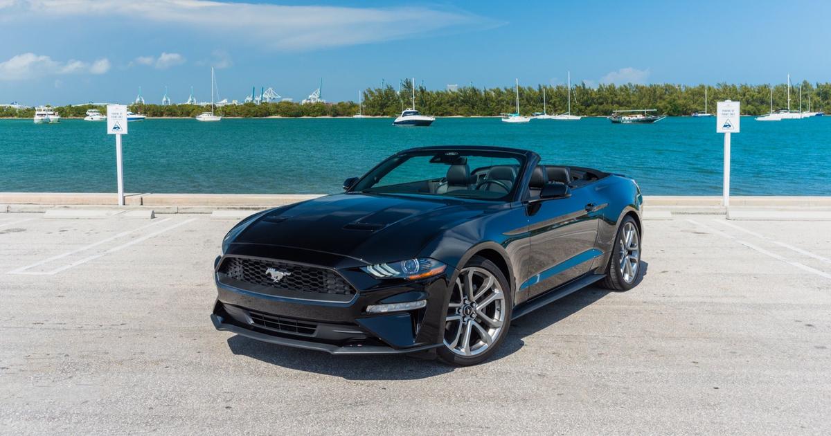 Ford Mustang 2022 rental in Miami, FL by Sunset Rent A Car Inc | Turo