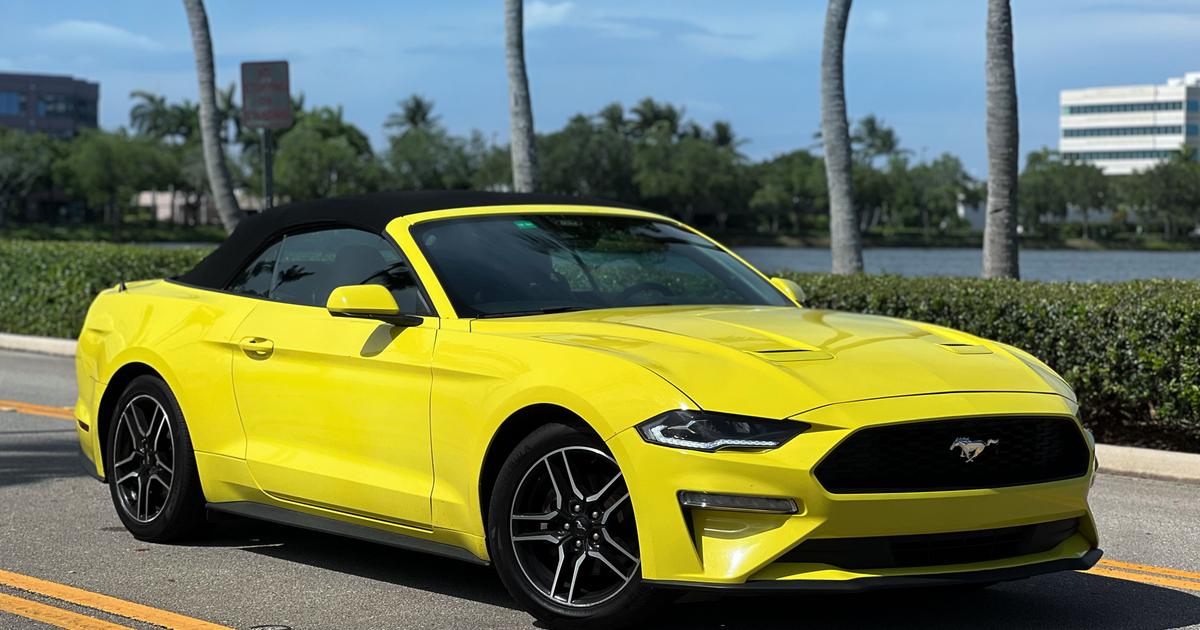 Ford Mustang 2021 rental in Miami, FL by Hansel | Turo