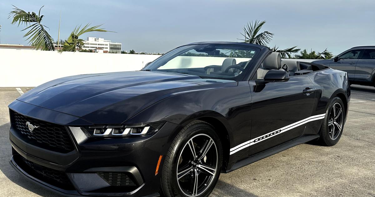 Ford Mustang 2024 rental in Miami, FL by Freeway Rental Car . | Turo