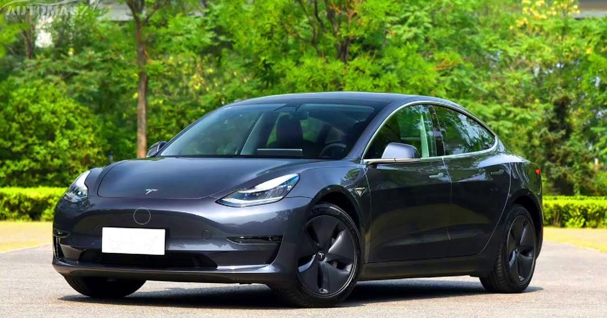 Tesla Model 3 2021 rental in Lodi, NJ by Stephen | Turo